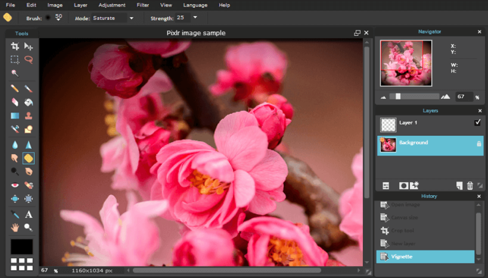 Why Pixlr Online Photo Editor Is Great for Beginners And Pros