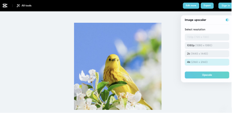 How to increase resolution of image