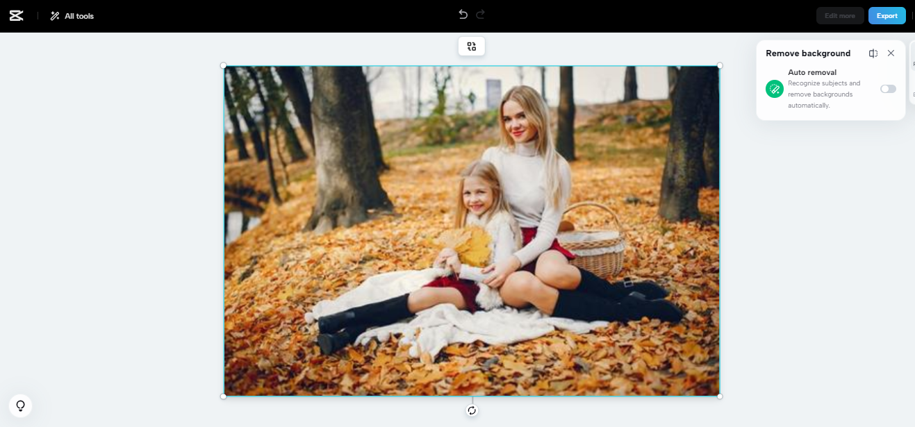 Master AI Background Removal with These 5 Top Tools