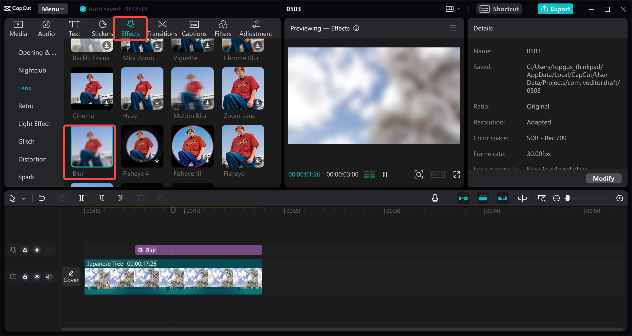 Best Online Blur Video Editor - Toptools voor het vervagen van video 's