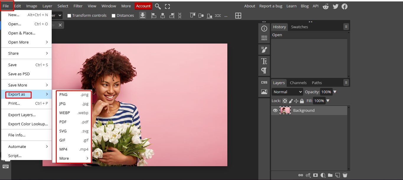 The Ultimate Guide To Using Photopea Online Photo Editor For New Users