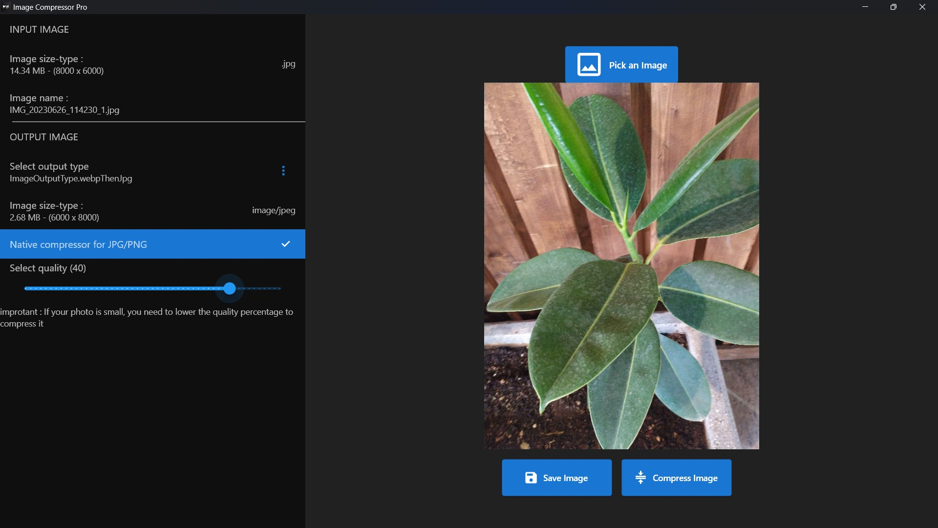 The 6 Best Software for Compressing Images To Speed Up Websites