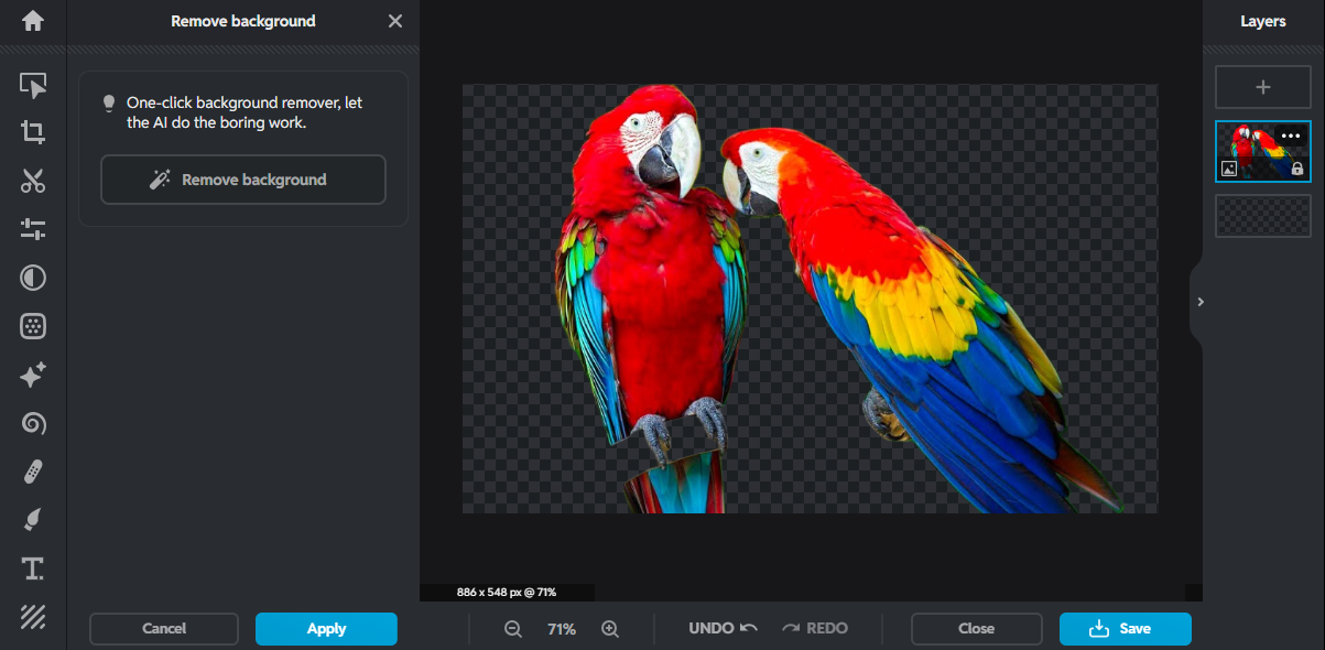 6 Best JPG Background Removers to Make Your Photos Stand Out in 2025